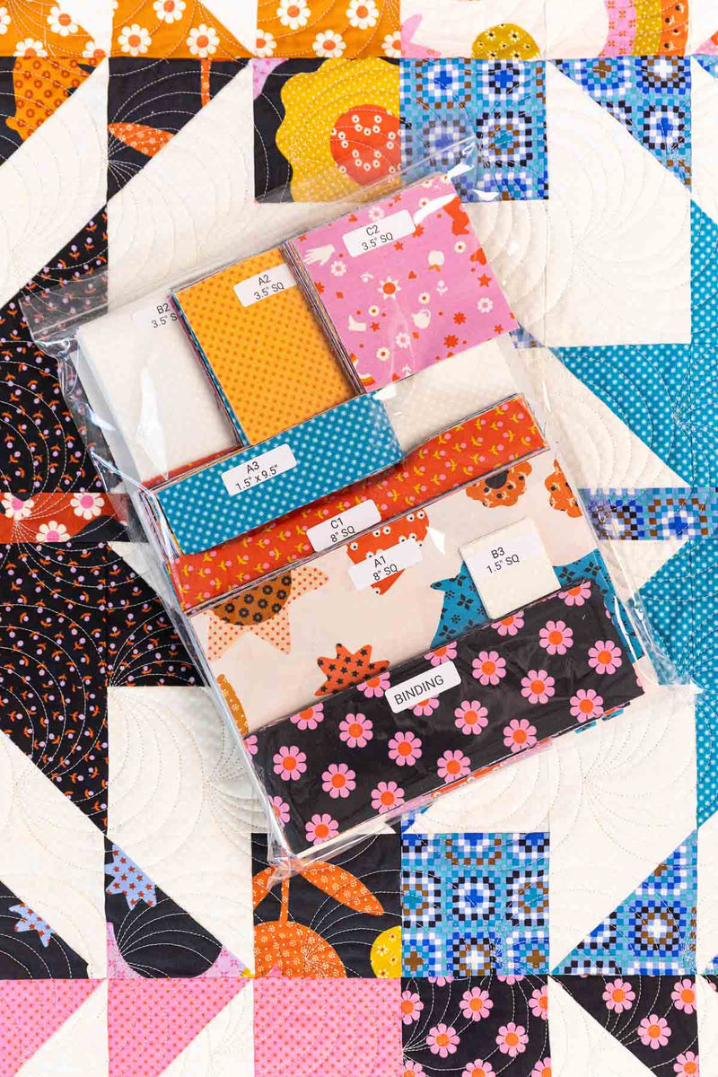 Prairie Tracks Pre-Cut Quilt Kit – Quilt101